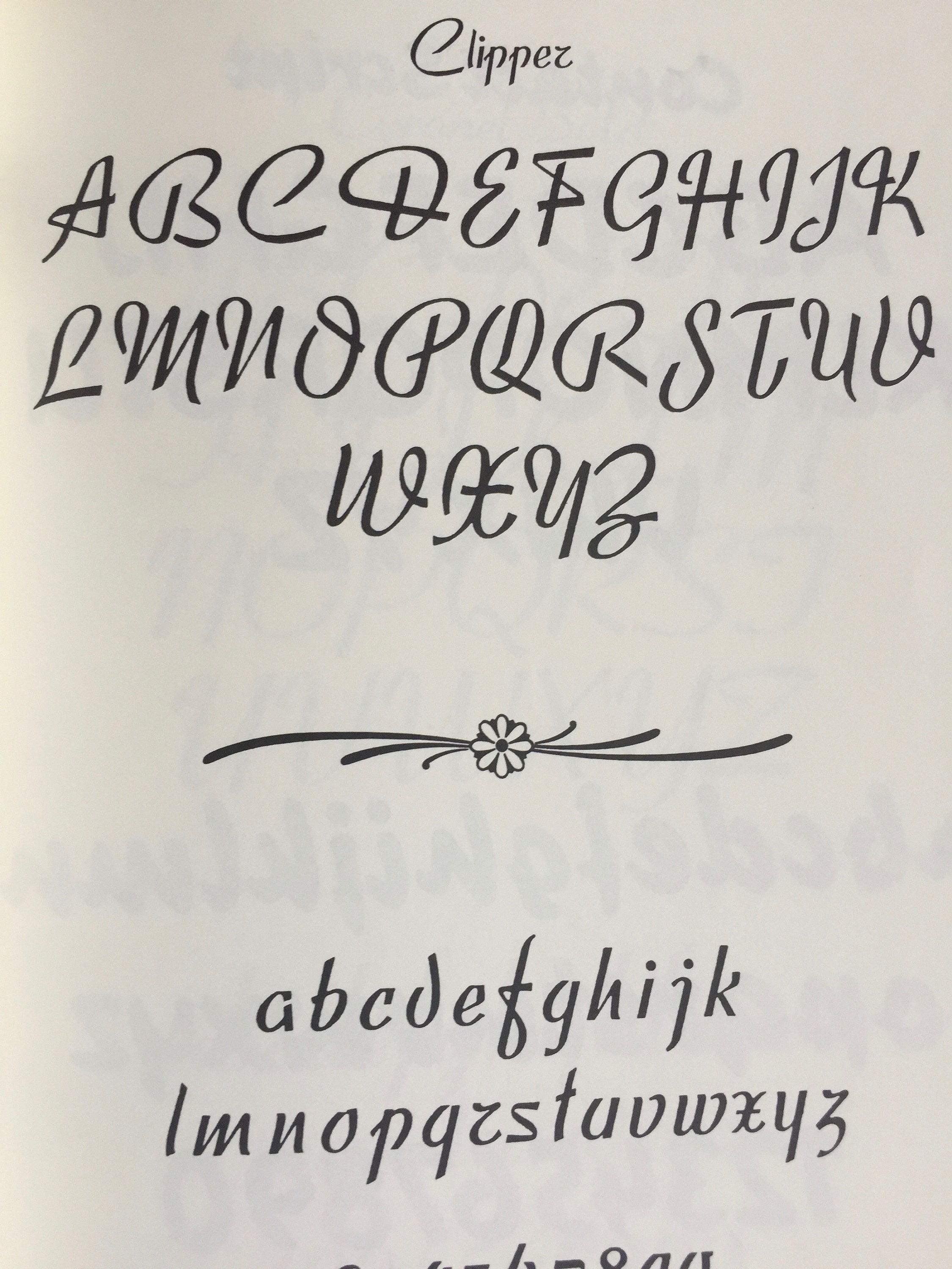 Script Fonts Display Fonts Typographic Collection Font | Etsy