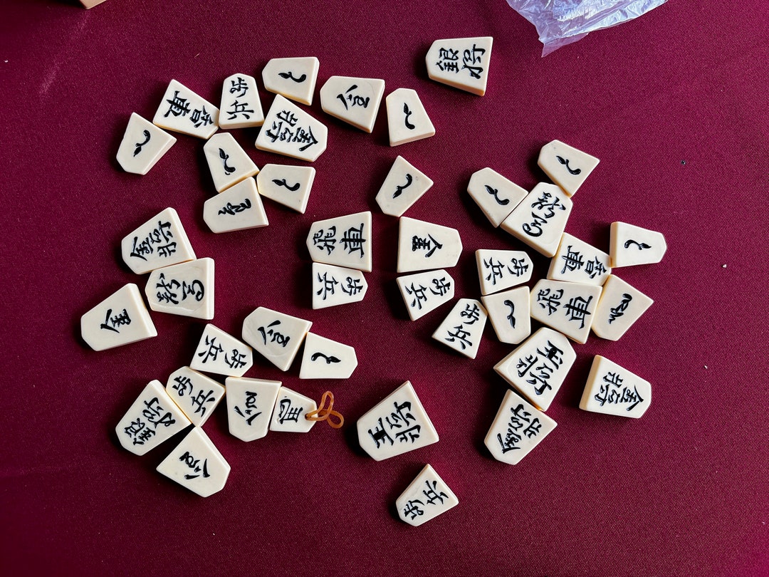 Chess Set, Japanese Chess, Chess Board Game, Folding Chess, Travel ...