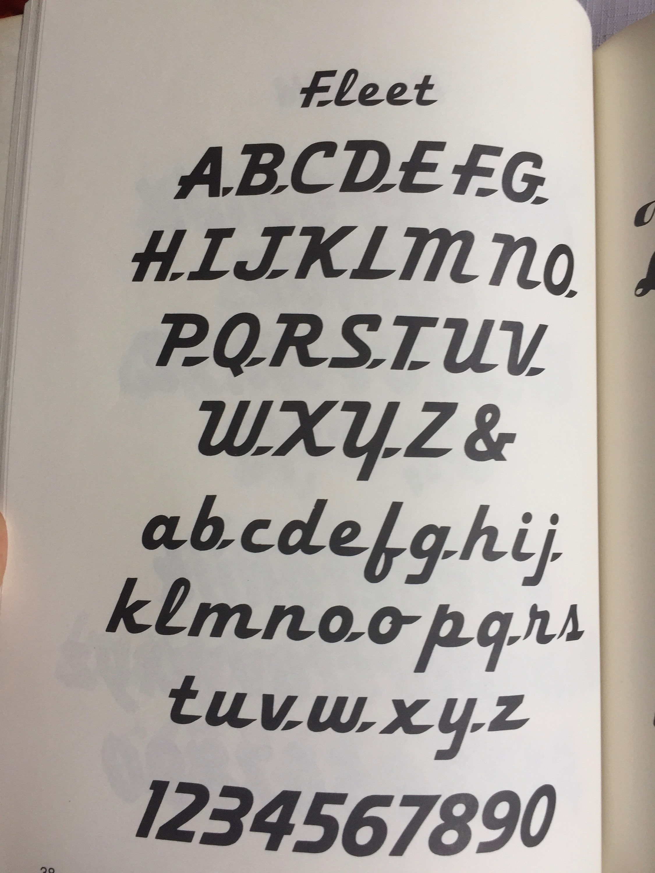 Script Fonts Display Fonts Typographic Collection Font | Etsy