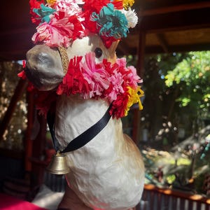 Llama Art, Wildlife Decor, Child Wall Art, Tropical Wall Art, Llama ...