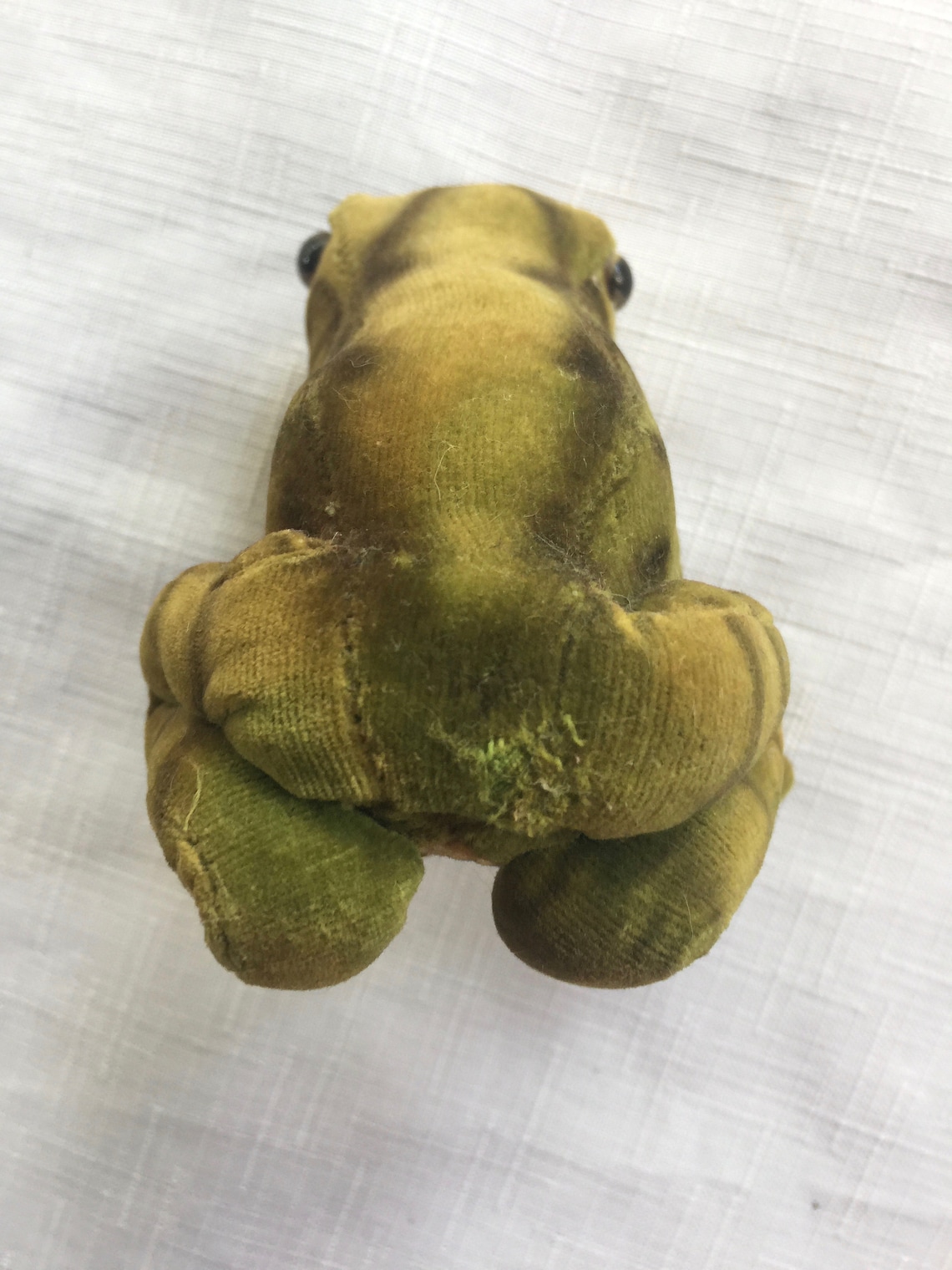 Steiff Frog, Stuffed Frog, Collectible Frog, Collectible Steiff, Plush ...