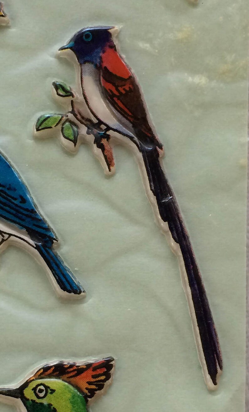 Bird Label, Bird Ephemera, Bird Sticker, Bird Art, Retro Bird, Japan ...
