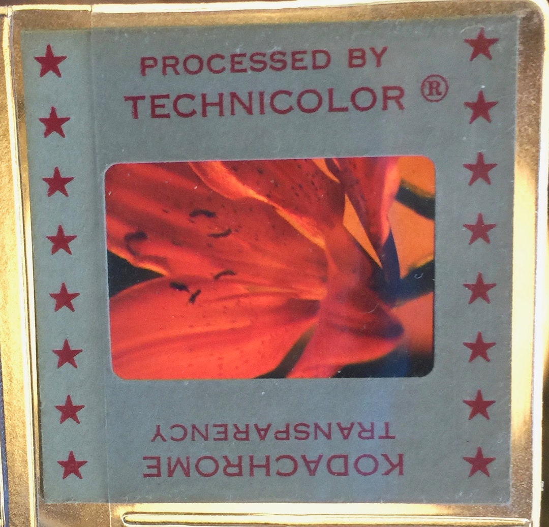 Flower Photos, Retro Photo Slide, Kodachrome, Technicolor, Color ...