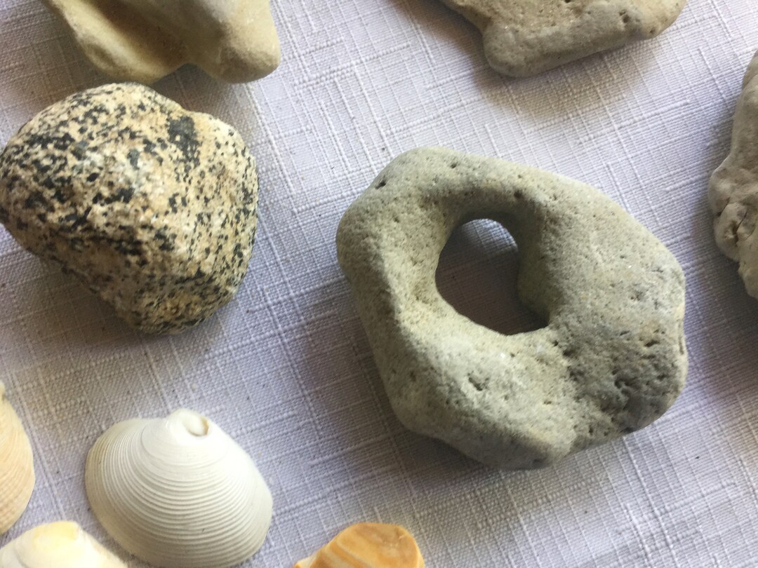 Shell Collection, Shell Lot, Beach Rocks, Pretty Rocks, Rock Collection ...