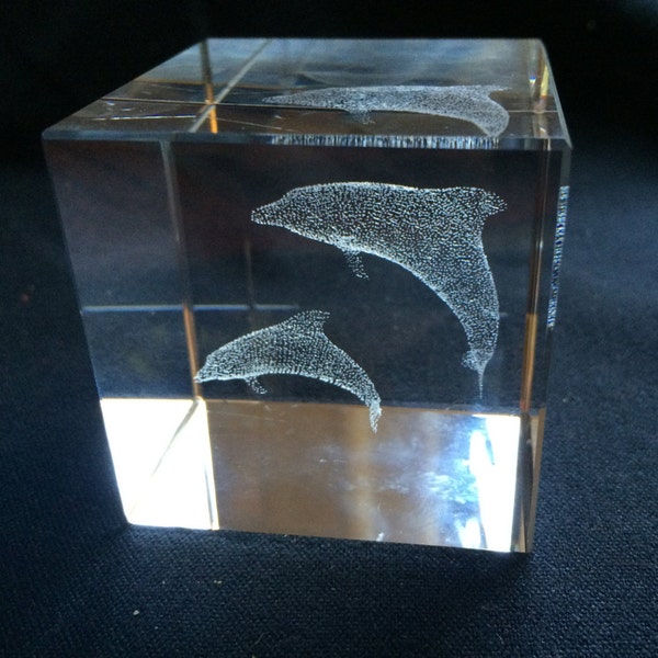 Dolphin Art - Etsy