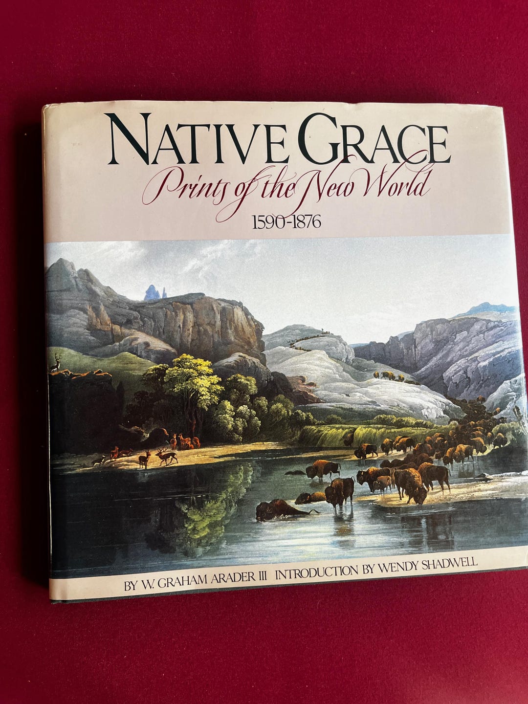 Native Grace, Indigenous Art, America Art, Indian Art, American History ...