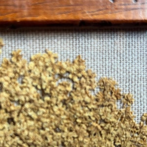 Tree Art, Dried Flower Art, Frame Tree Art, Nature Art, Tree Wall Art ...