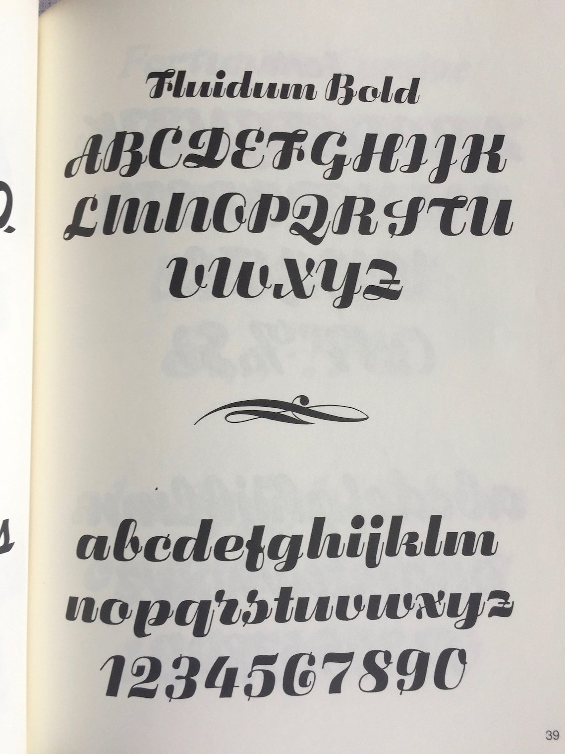 Script Fonts Display Fonts Typographic Collection Font | Etsy