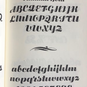 Script Fonts, Display Fonts, Typographic Collection, Font Collection ...