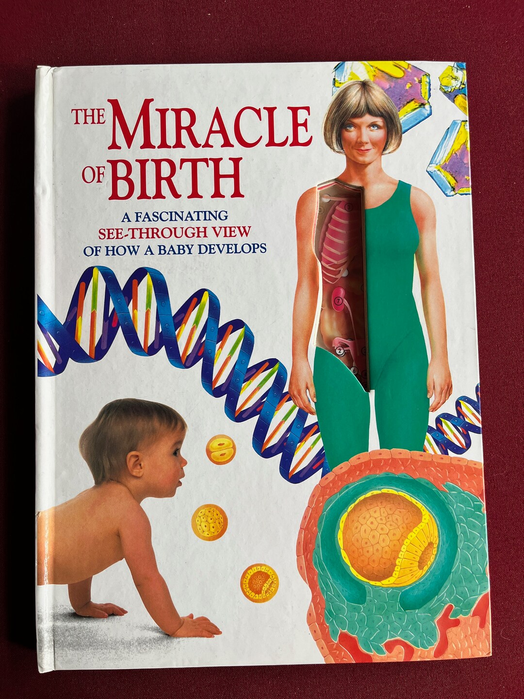 Miracle of Birth, Pregnancy Book, Medical Reference, Illustrated Book ...