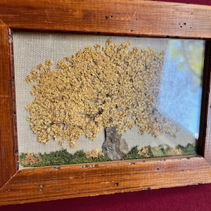 Tree Art, Dried Flower Art, Frame Tree Art, Nature Art, Tree Wall Art ...