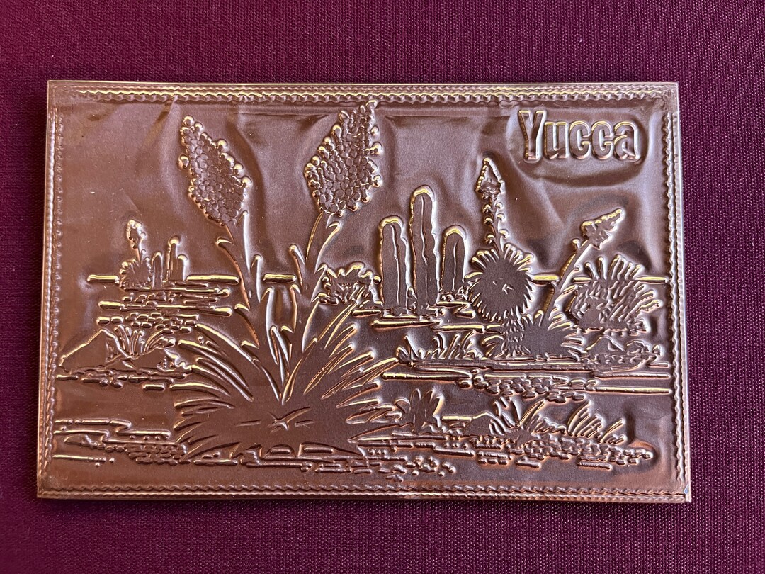 Arizona Postcard, Copper Postcard, Yucca Postcard, Desert Postcard ...