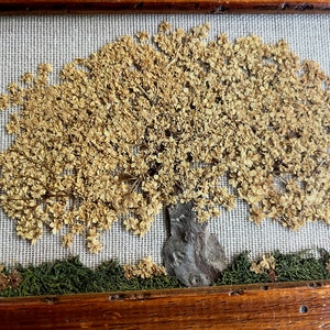 Tree Art, Dried Flower Art, Frame Tree Art, Nature Art, Tree Wall Art ...