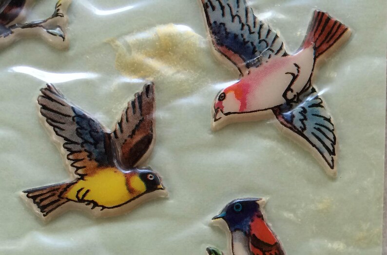 Bird Label, Bird Ephemera, Bird Sticker, Bird Art, Retro Bird, Japan ...