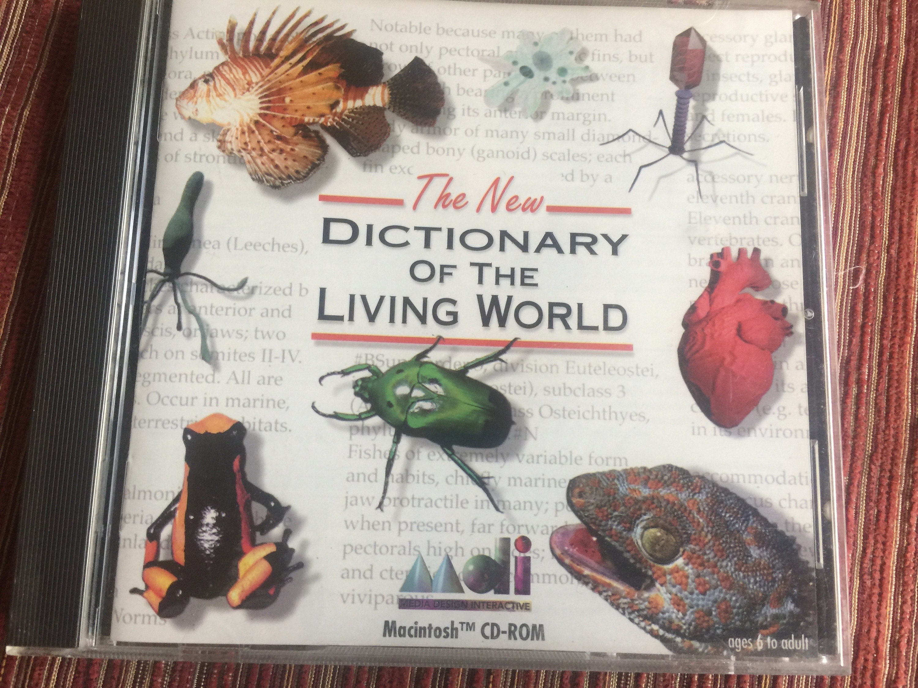 Child Dictionary First Dictionary Kid Dictionary Visual - Etsy