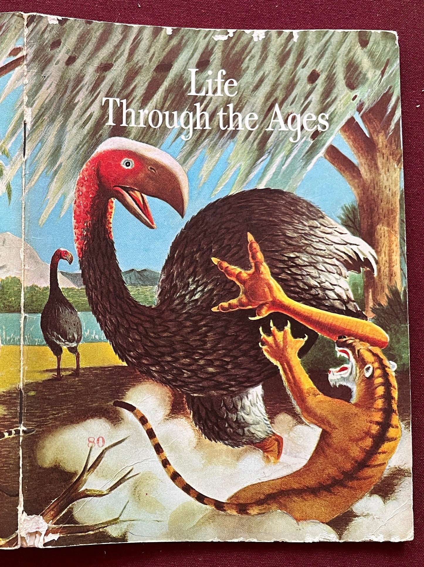 Science Book Dinosaur Book Retro Science Book School - Etsy