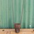 Metal Wigwam Bean Poles Garden Sweet Pea Plant Support Obelisk. 143cm ...