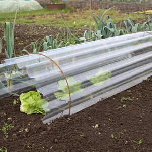 Pair of Garden Cloche Hoops Rusted Border Edging. Allotment. LARGE ...