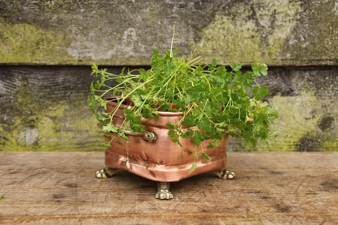 Old Antique Vintage Small Copper Trough. Windowsill Container. Garden ...