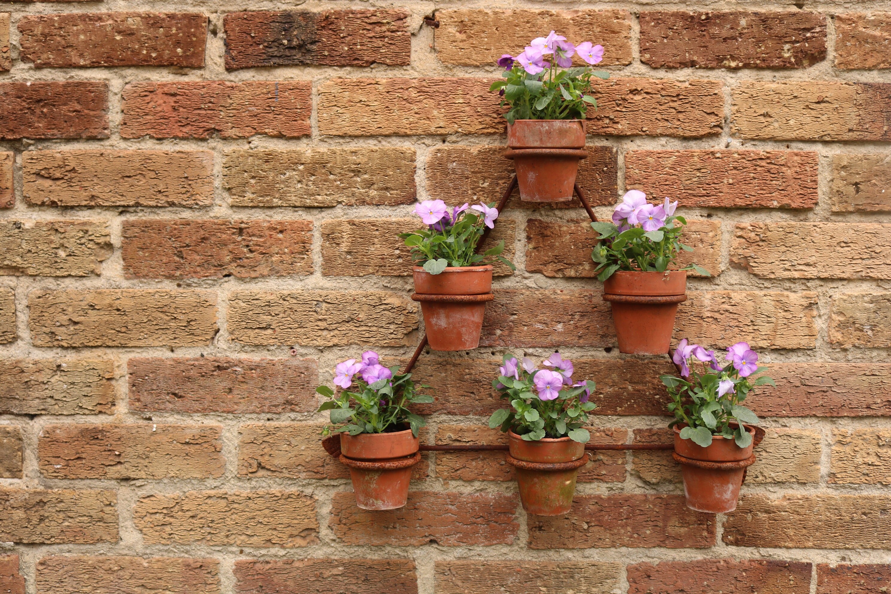 Wall Mounted Flower Pots