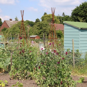 2.3m Tall Folding Metal Wigwam Bean Poles Garden Plant Support Obelisk ...