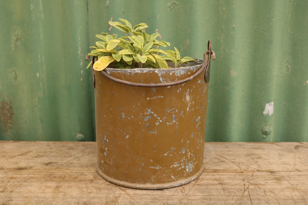 Reclaimed Small Metal Paint Bucket Style Tin Pot. Garden Container ...