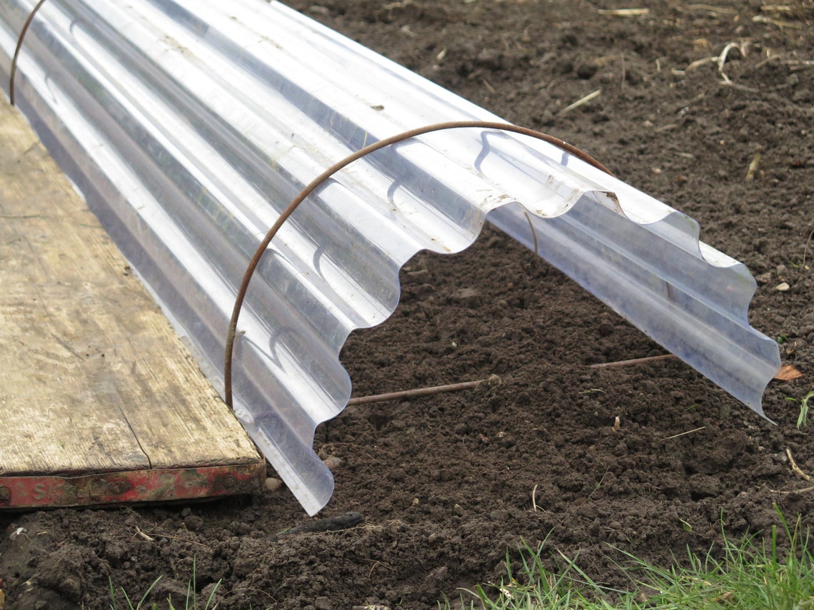 Pair of Garden Cloche Hoops Rusted Border Edging. Allotment. SMALL ...