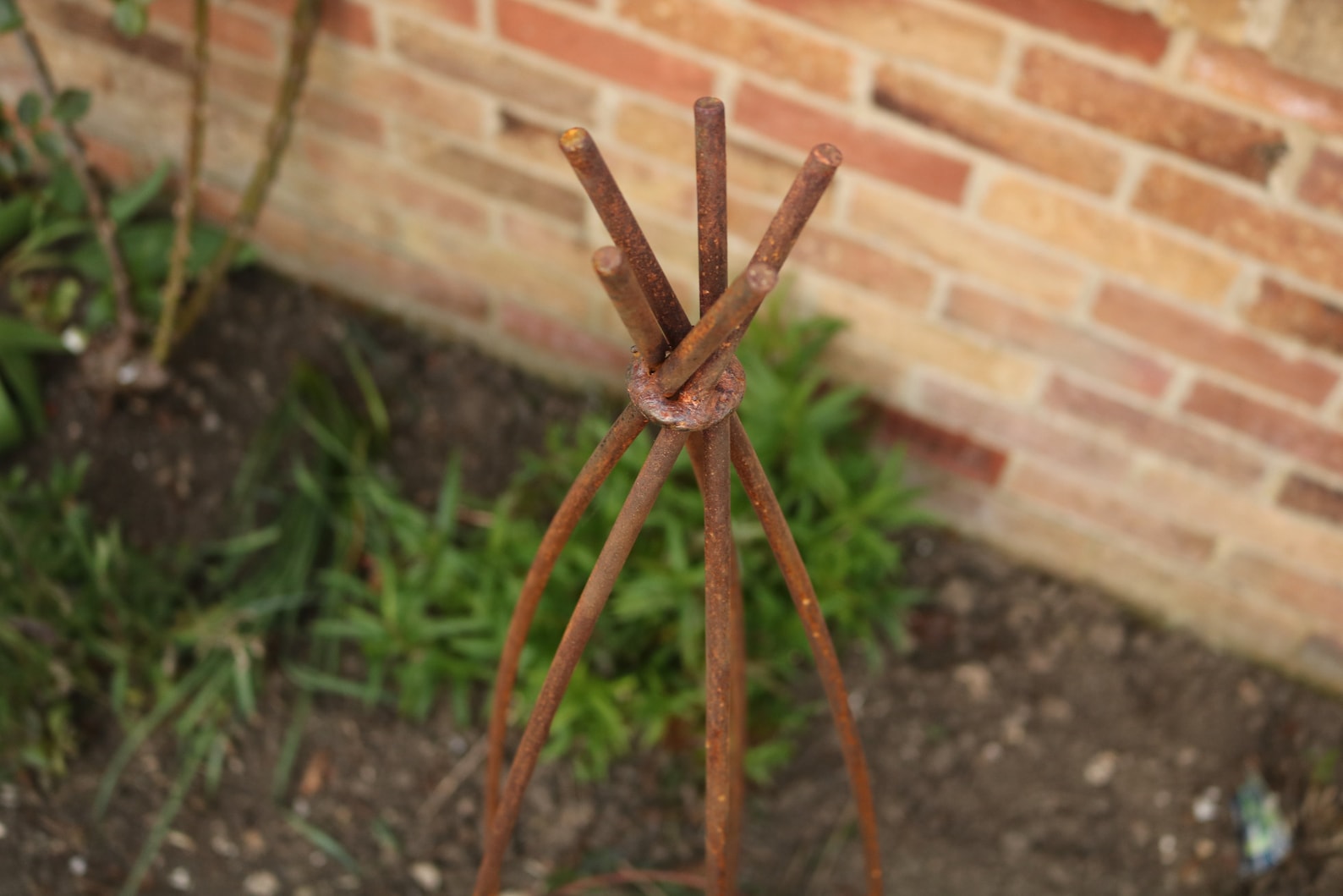 Metal Wigwam Bean Poles Garden Sweet Pea Plant Support Obelisk. 143cm ...
