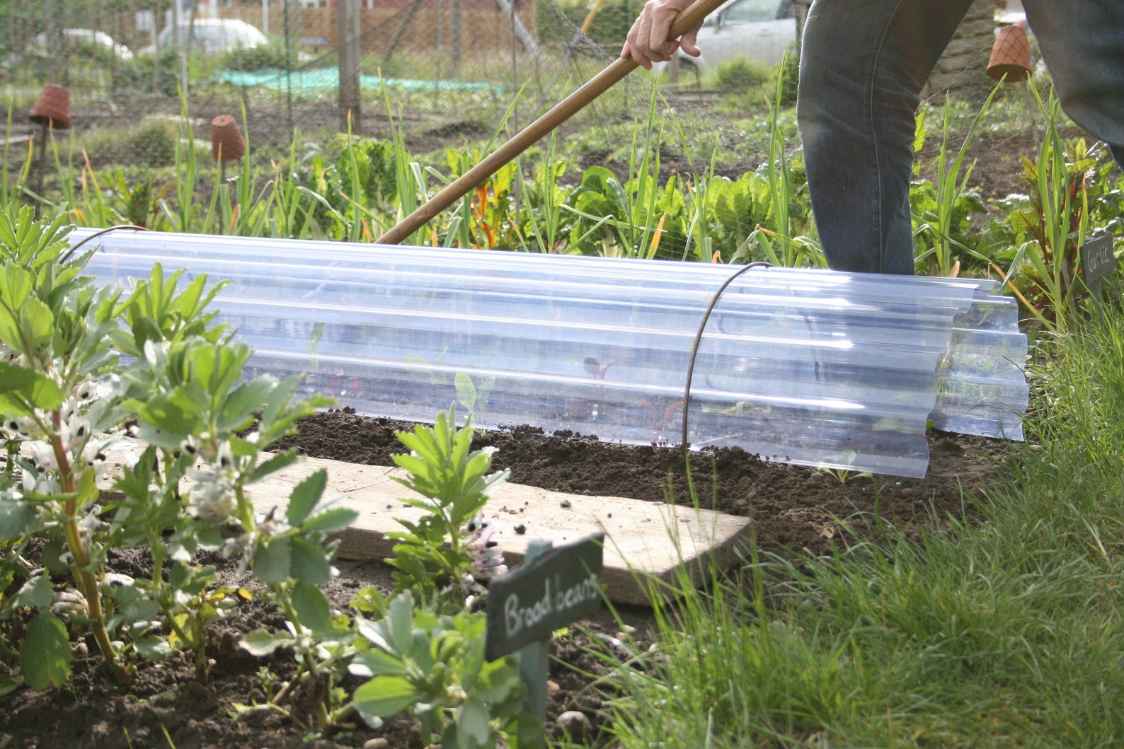 Pair of Garden Cloche Hoops Rusted Border Edging. Allotment. SMALL ...
