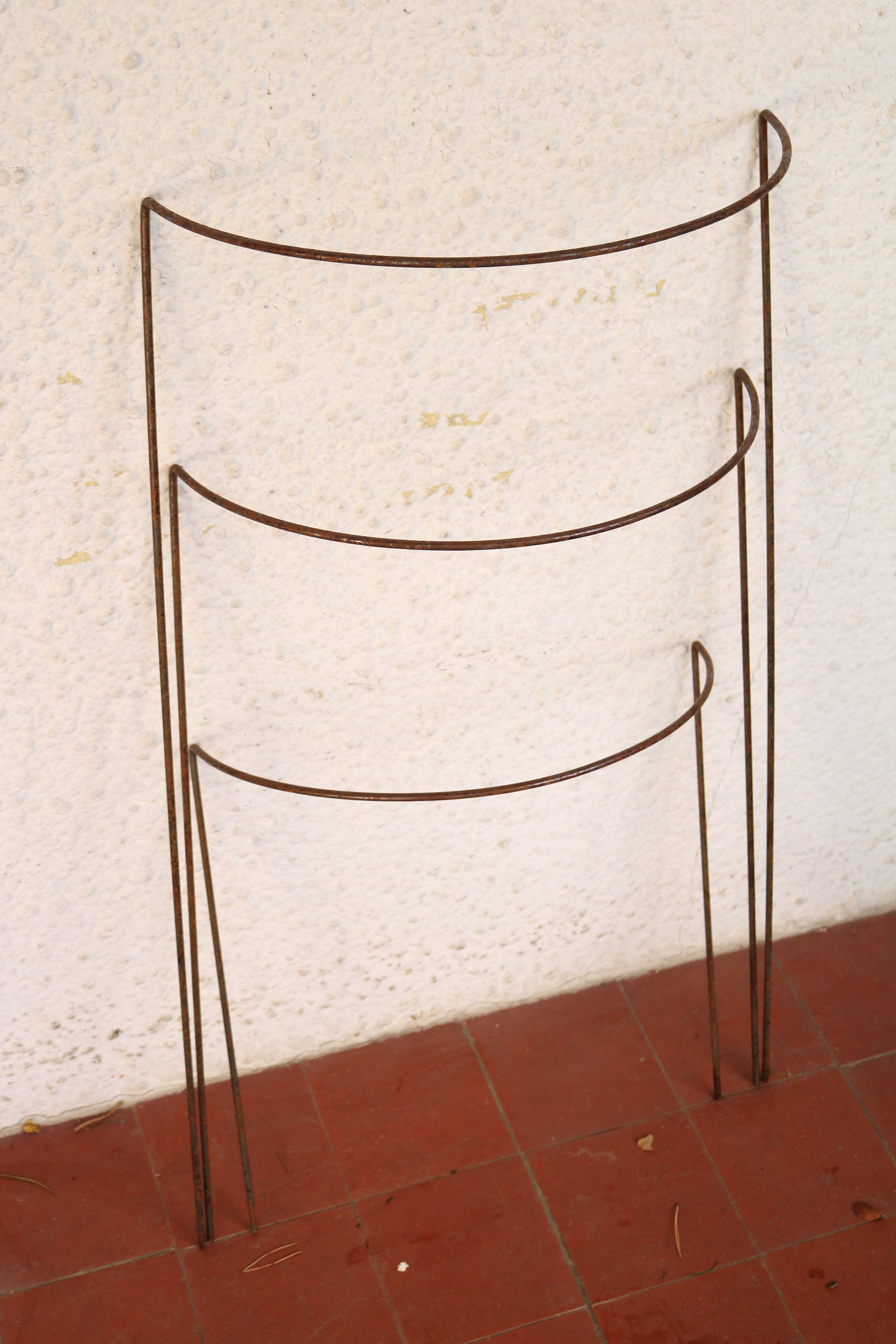 Set of Three Metal Hoop Plant Supports. Small, Medium and Large Sizes ...