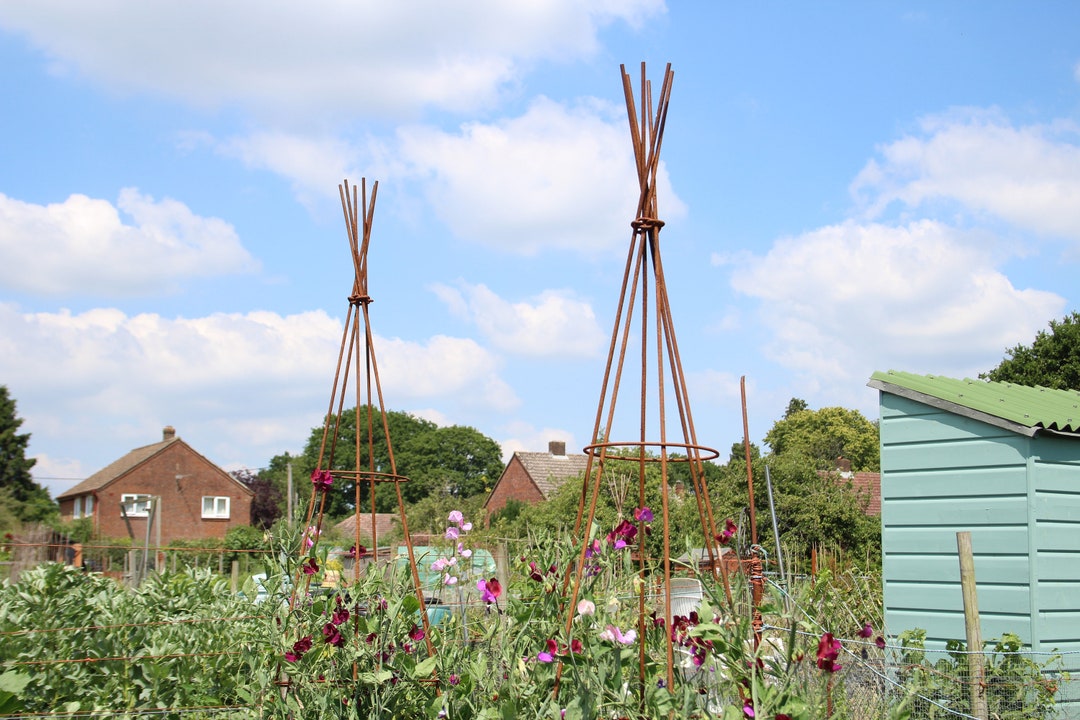 2.3m Tall Folding Metal Wigwam Bean Poles Garden Plant Support Obelisk ...