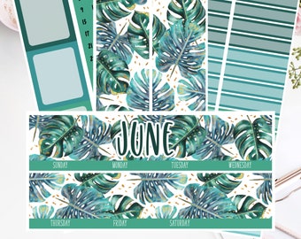 June Stickers - Etsy