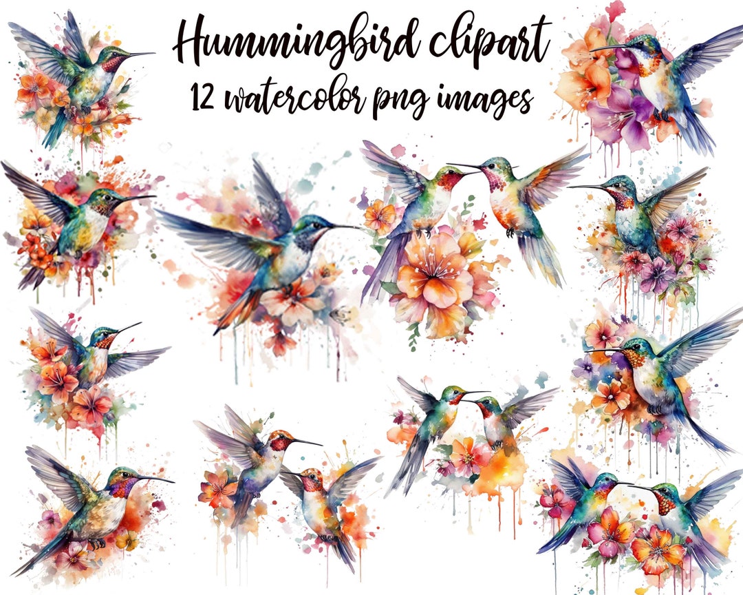 Hummingbird Clipart, Watercolor Hummingbird, Bird Scrapbook ...