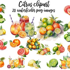 Citrus Clipart, Citrus Watercolor, Citrus Set Clipart, Orange Clipart ...