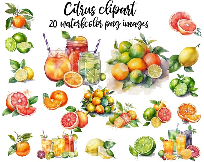 Watercolor Citrus Clipart, Lemon Fruit Illustration, Grapefruit Artwork ...