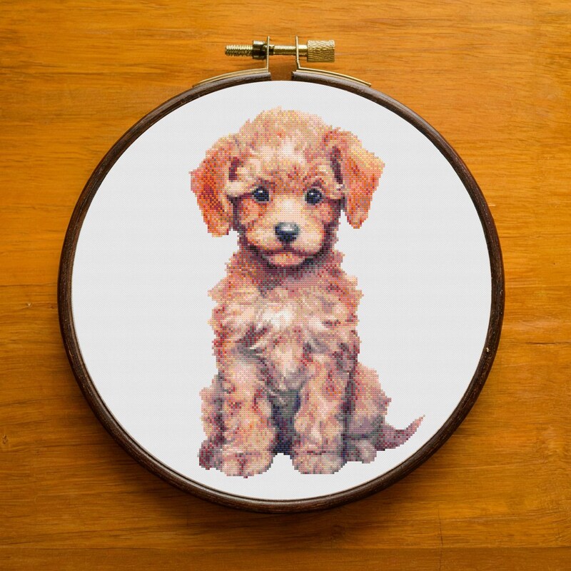 Poodle Cross Stitch - Etsy