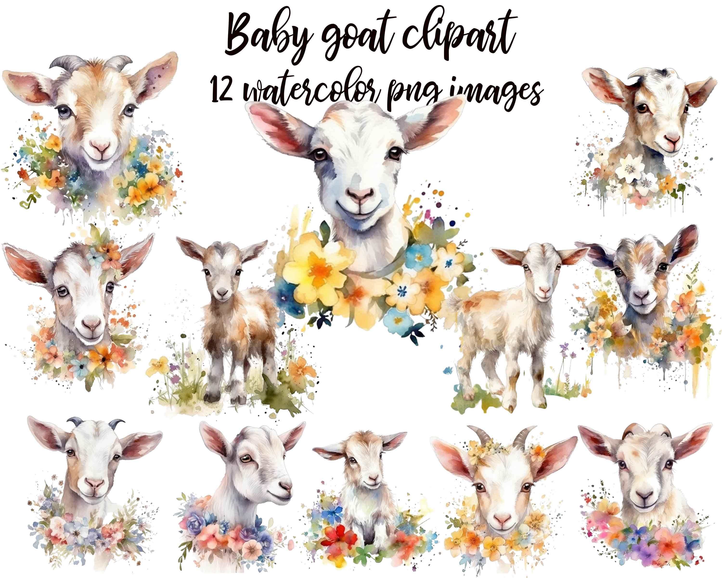 Baby Goat Clipart Goat Illustration Watercolor Baby Goat - Etsy