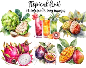Watercolor Tropical Fruits PNG Transparent Background Summer - Etsy
