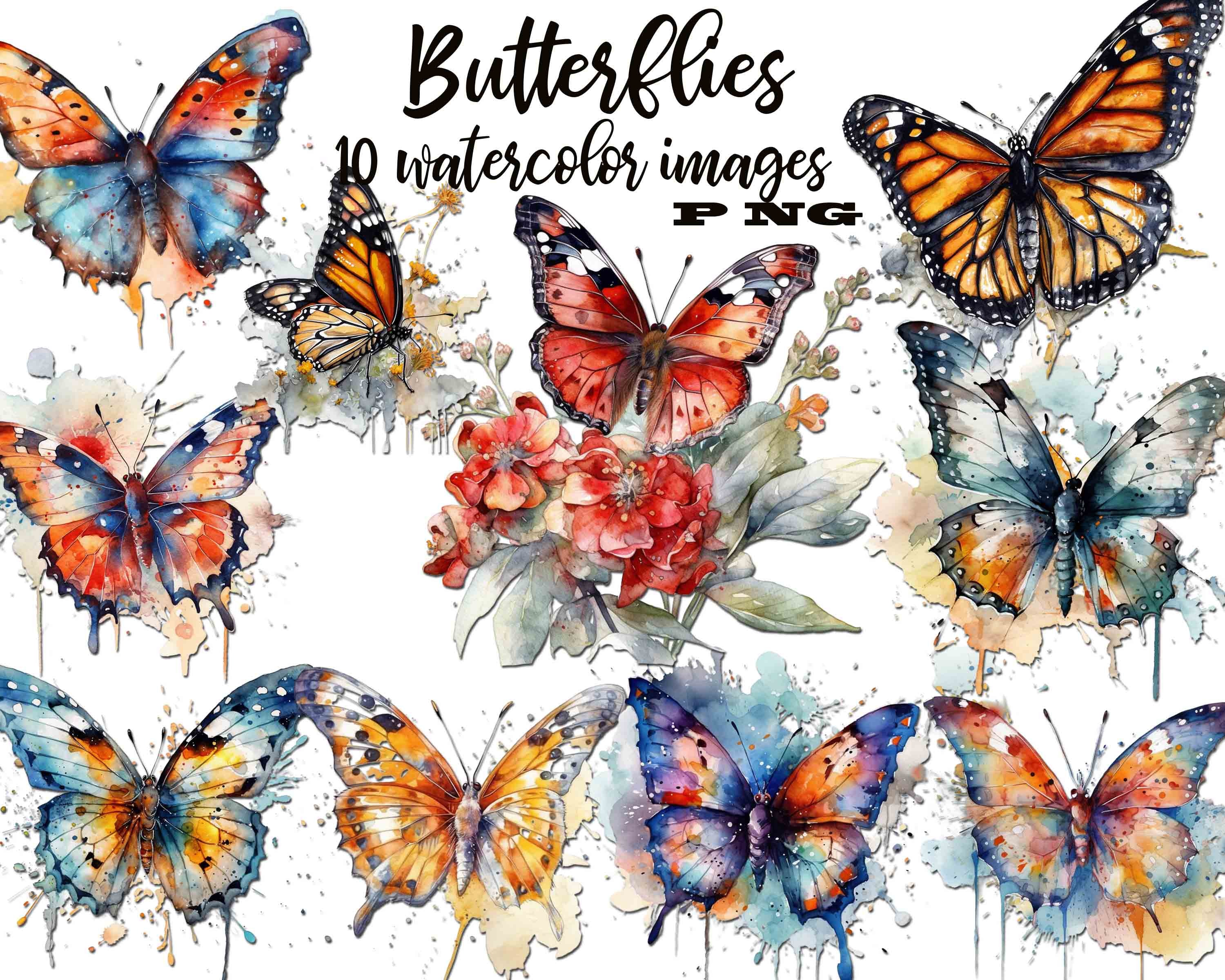 Free Butterfly Clipart Images
