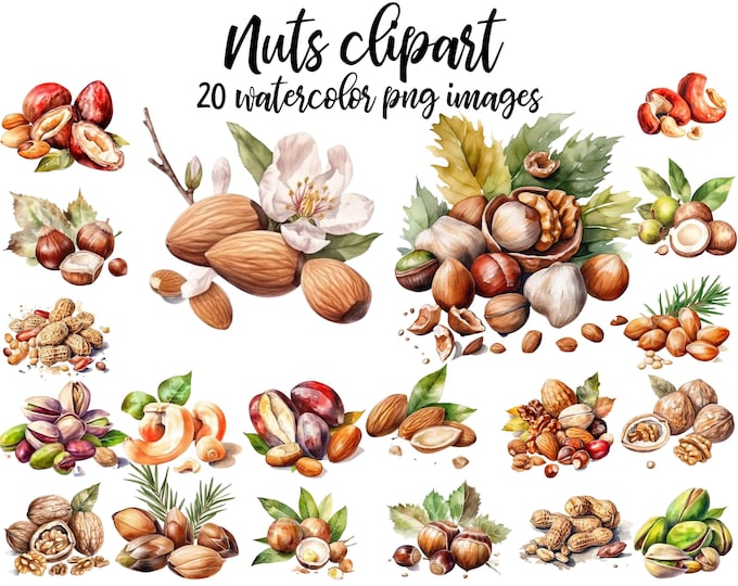 Nuts Clipart, Food Clipart, Watercolor Clipart, Nut Watercolor ...
