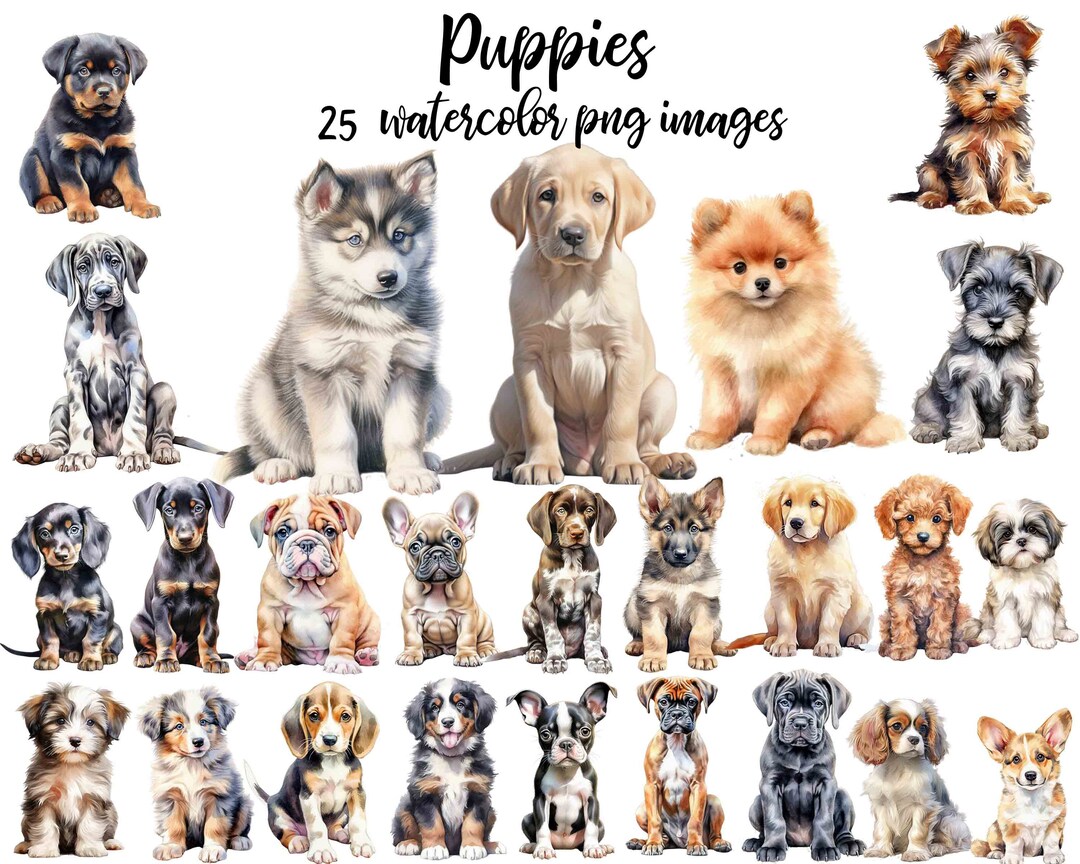 Watercolor Puppies Clipart: 25 PNG Dog Illustrations (digital Download ...