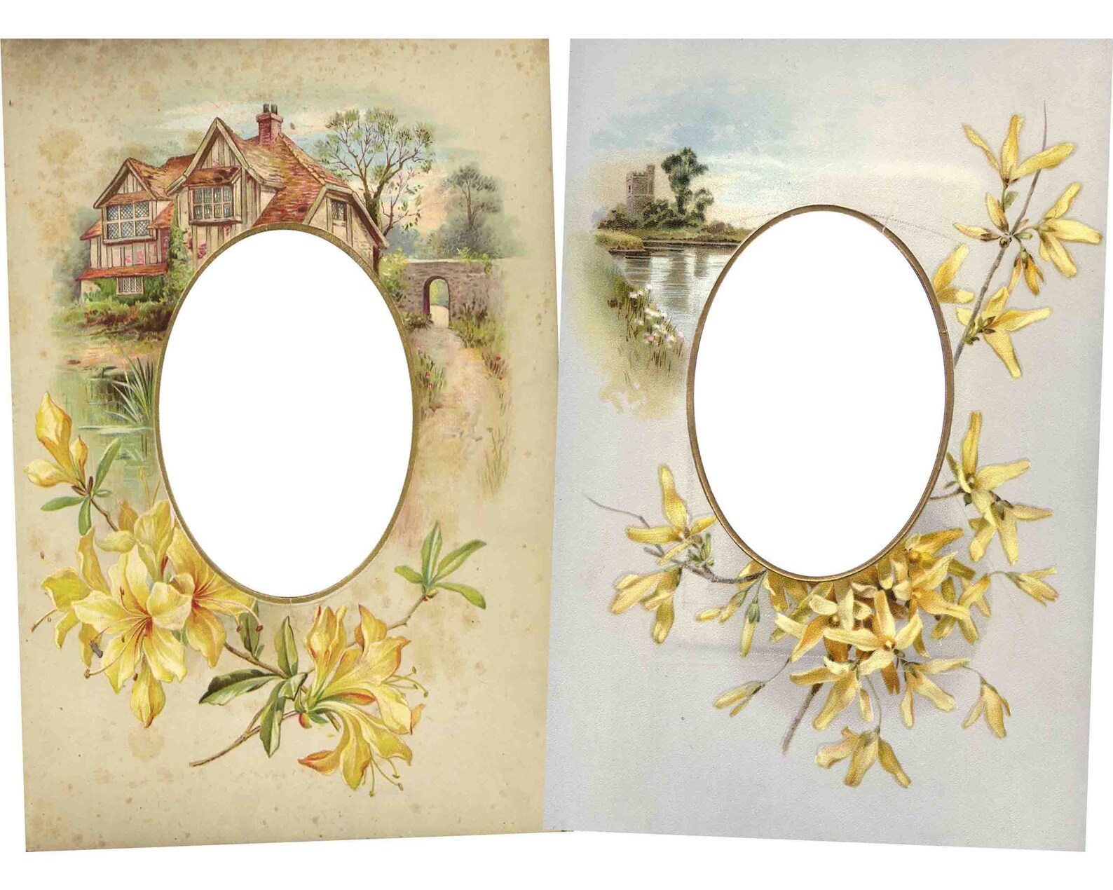 Digital Frame Vintage Floral Frames Clipart Frames Clip Art | Etsy