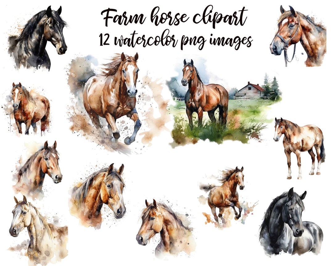 Farm Horse Clipart, Horse Illustration, Horse Clipart, Watercolor Horse ...