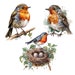Robin Clipart, Watercolor Robin, Bird Scrapbook, American Robin, Robin ...