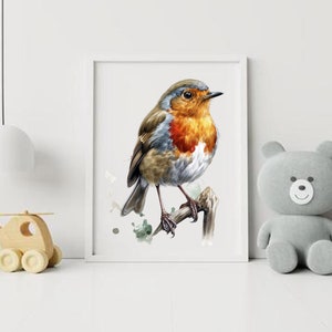 Robin Clipart, Watercolor Robin, Bird Scrapbook, American Robin, Robin ...