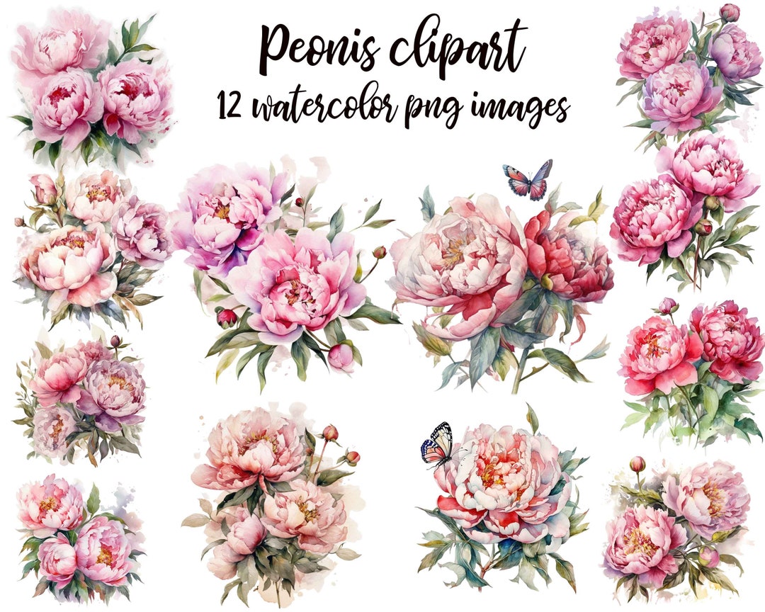 Peony Watercolor Clipart Set: Floral PNG Images (digital Download) - Etsy