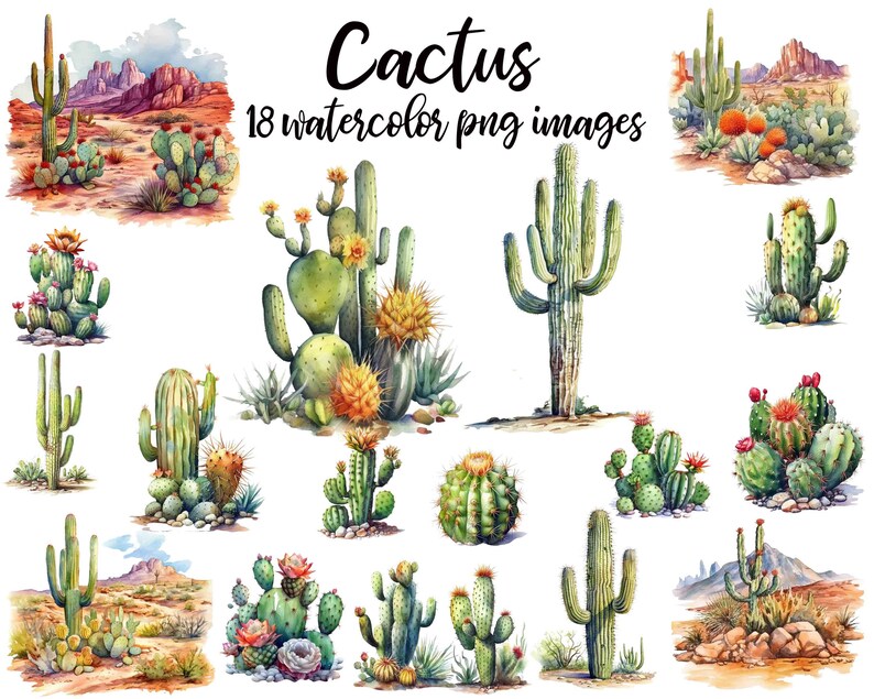 Watercolor Cactus Clipart Set: Desert Illustration (PNG Digital ...