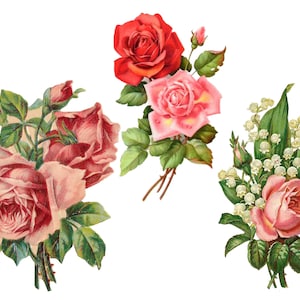 Vintage Rose Clipart: Floral Graphics, Antique Victorian Flowers ...