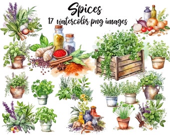 Watercolor Herb Jar Clipart, Herb Jar PNG, Watercolor Herbs and Spices ...
