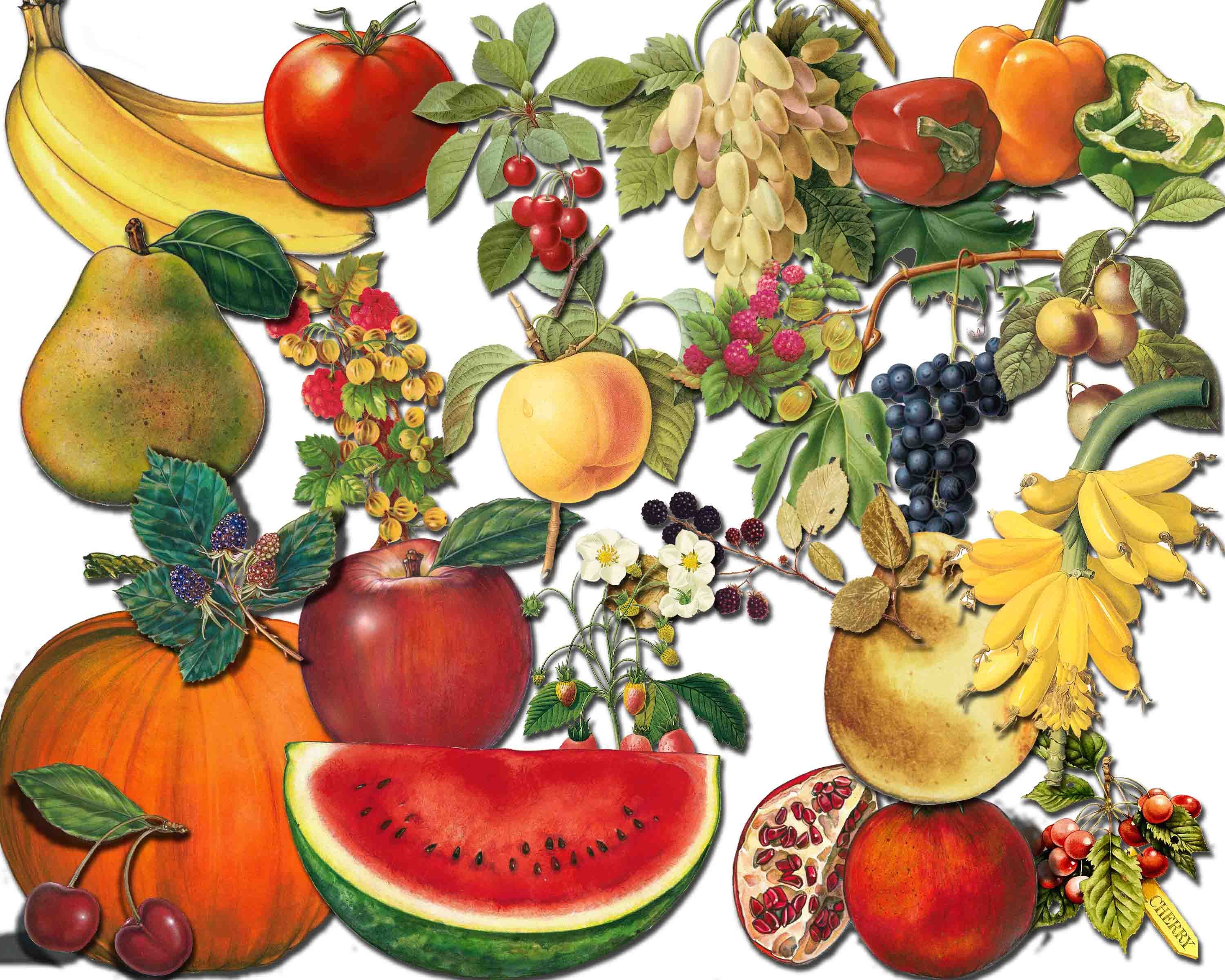 Free Clipart Of Vegetables And Fruits
